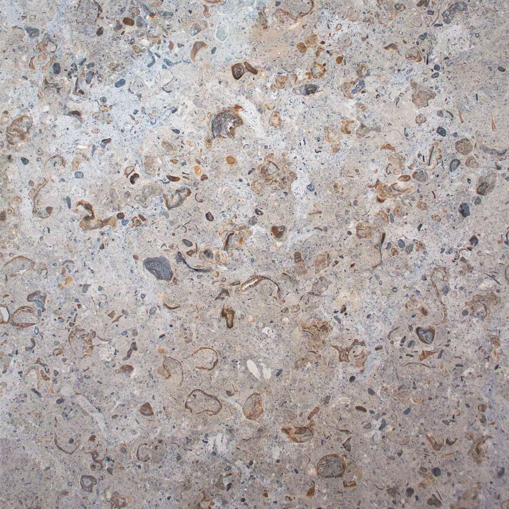 Stock online - Fiorantina